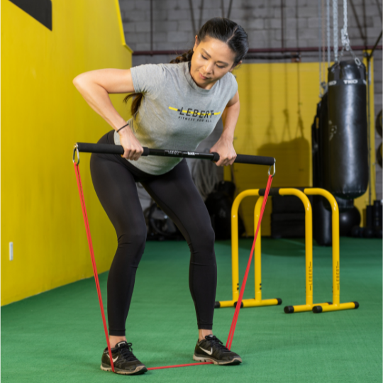 EQualizer & Lebert Resistance Bar Bundle – Lebert Fitness